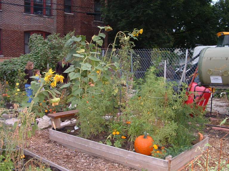 Root-Riot Urban Garden Network – Plant Seeds – Make Friends – Change ...