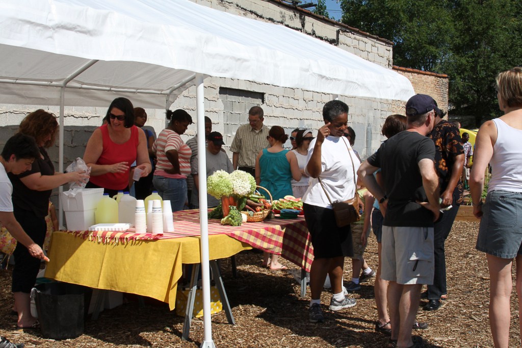 Root-Riot Urban Garden Network – Plant Seeds – Make Friends – Change ...